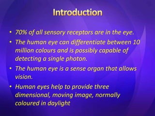 The human eye. group 1 | PPTX
