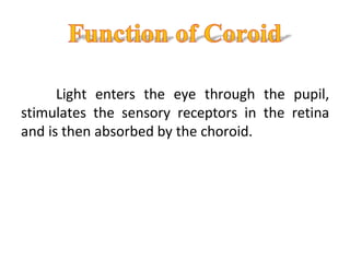 The human eye | PPTX