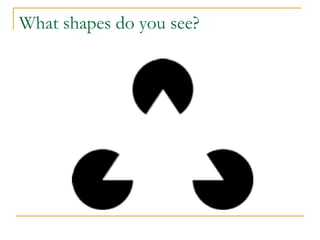 The human Eye Powerpoint Testing how you see | PPT