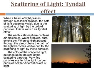 The human eye | PPTX