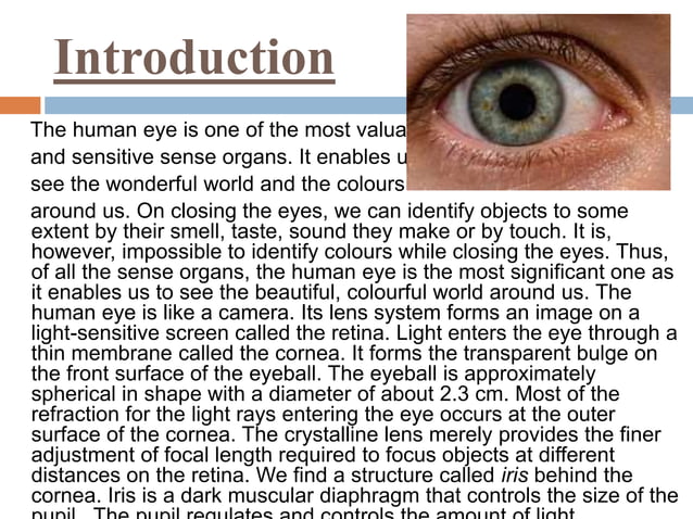 The human eye | PPTX