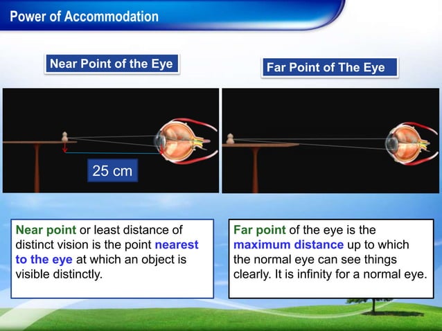 The human eye | PPTX