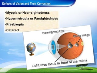 The human eye | PPTX