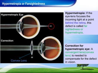 The human eye | PPTX