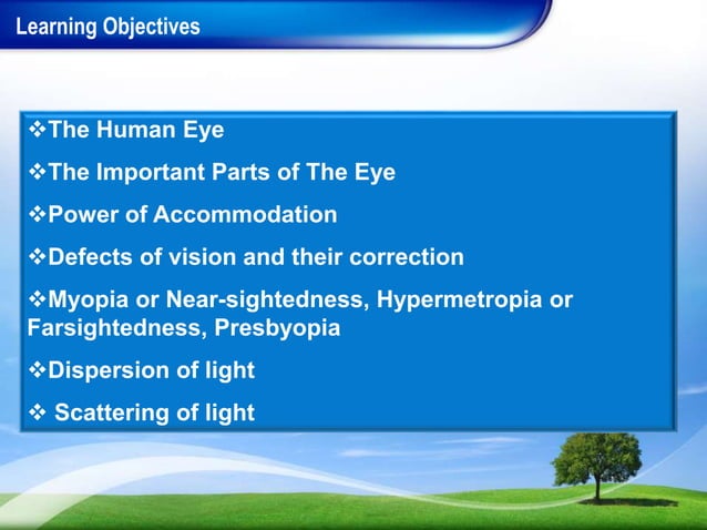 The human eye | PPTX