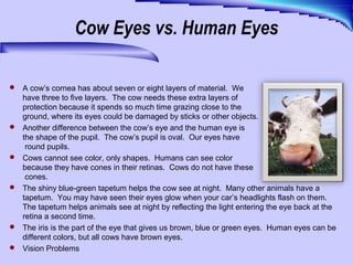 The human eye 10 13-2011 | PPT
