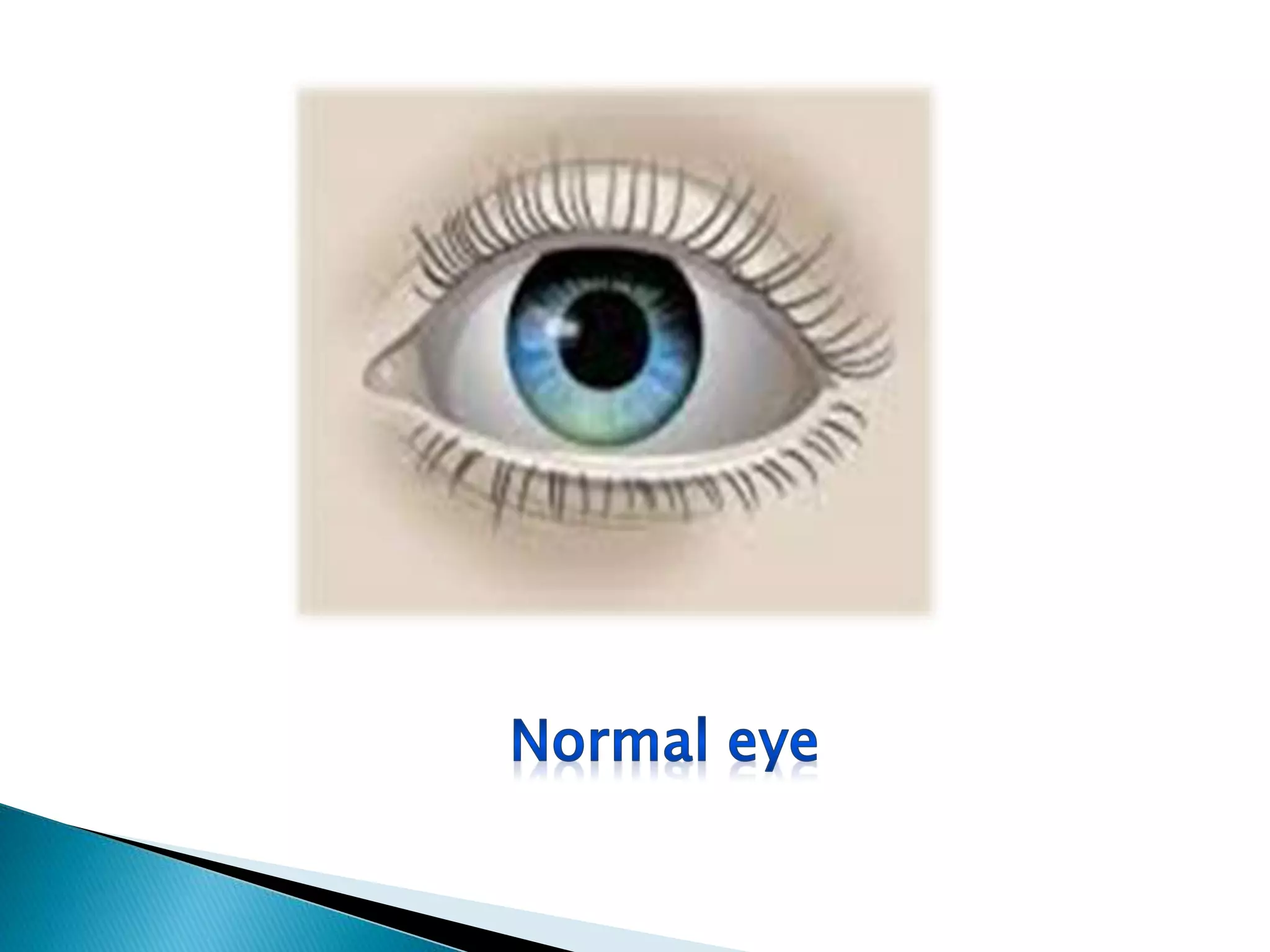 The human eye and the colourful world | PPTX