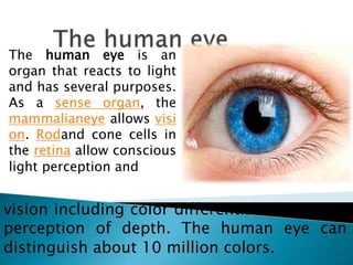 The human eye and the colourful world | PPTX
