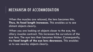 The Human Eye and The Colourful World PPT-Mod-1(10TH).pdf