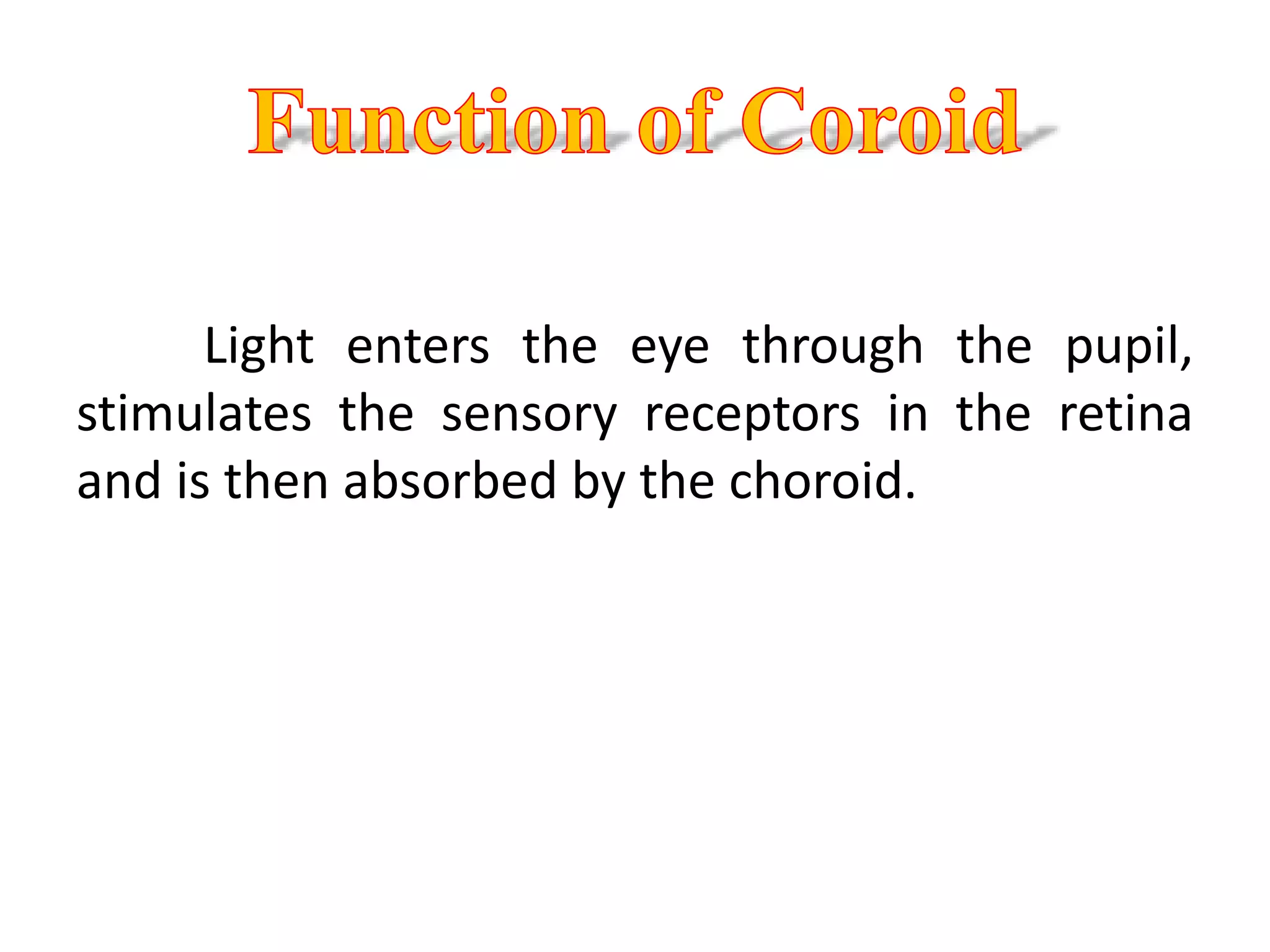 The human eye amatomy | PPTX