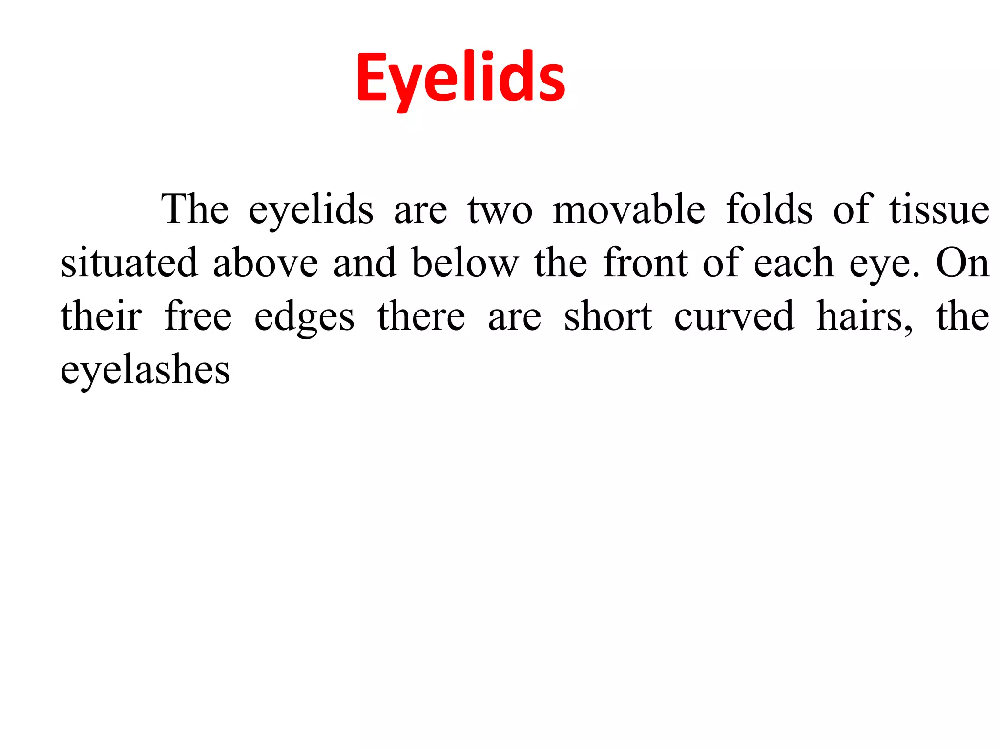 The human eye amatomy | PPTX