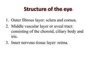 The human eye amatomy | PPTX