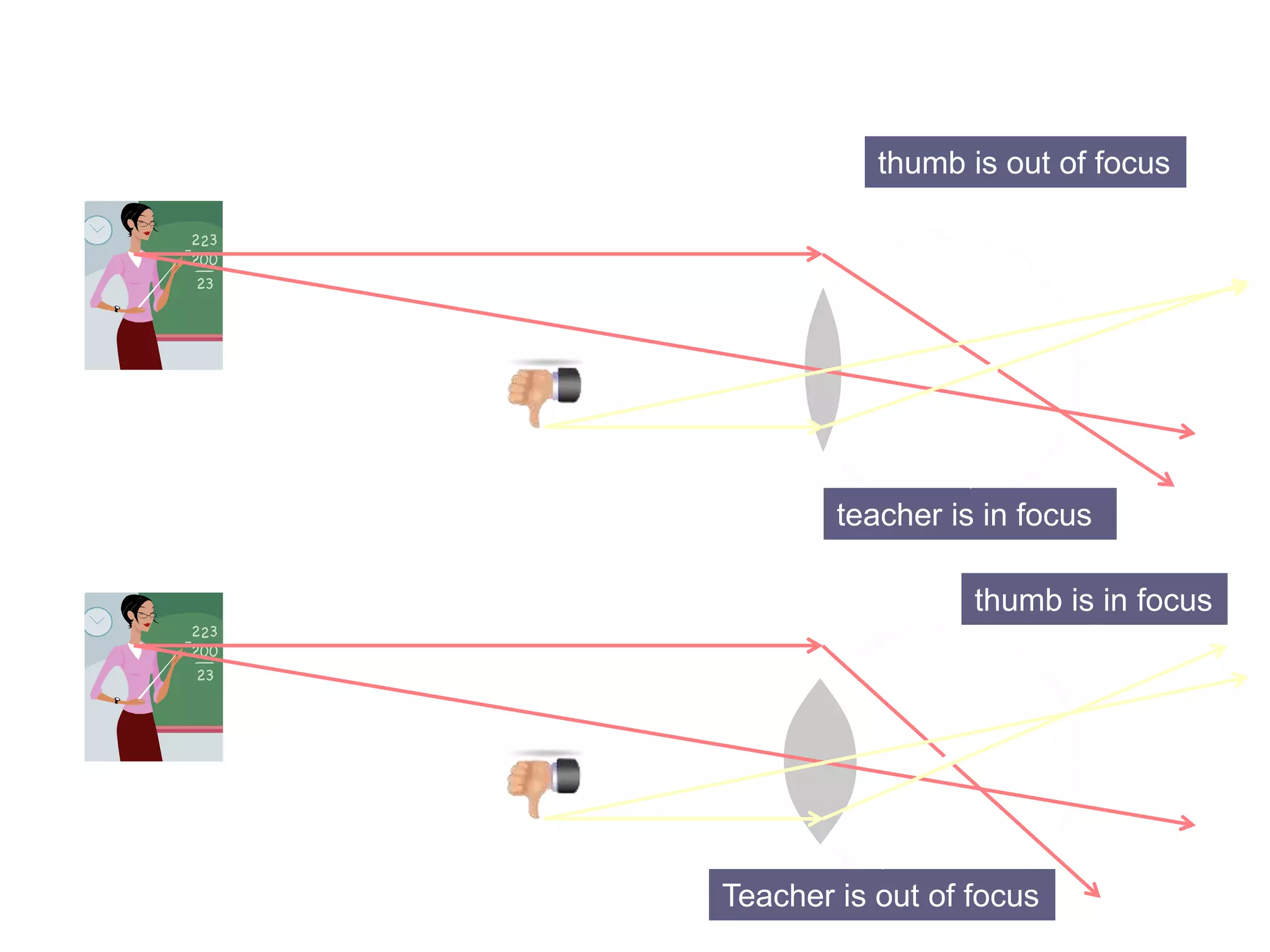 The Human Eye PowerPoint.pptx