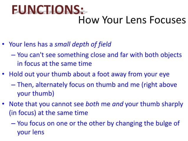 The Human Eye PowerPoint.pptx