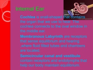 the Sensory system Eye and Ear | PPTX