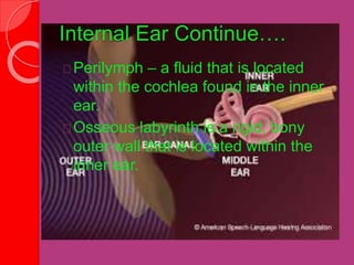 the Sensory system Eye and Ear | PPTX