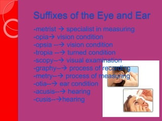 the Sensory system Eye and Ear | PPTX | Ear, Nose and Throat Conditions ...