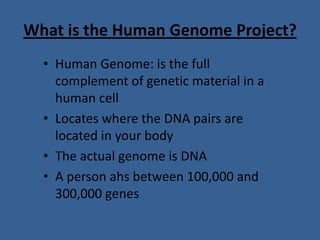 The human genome project | PPTX