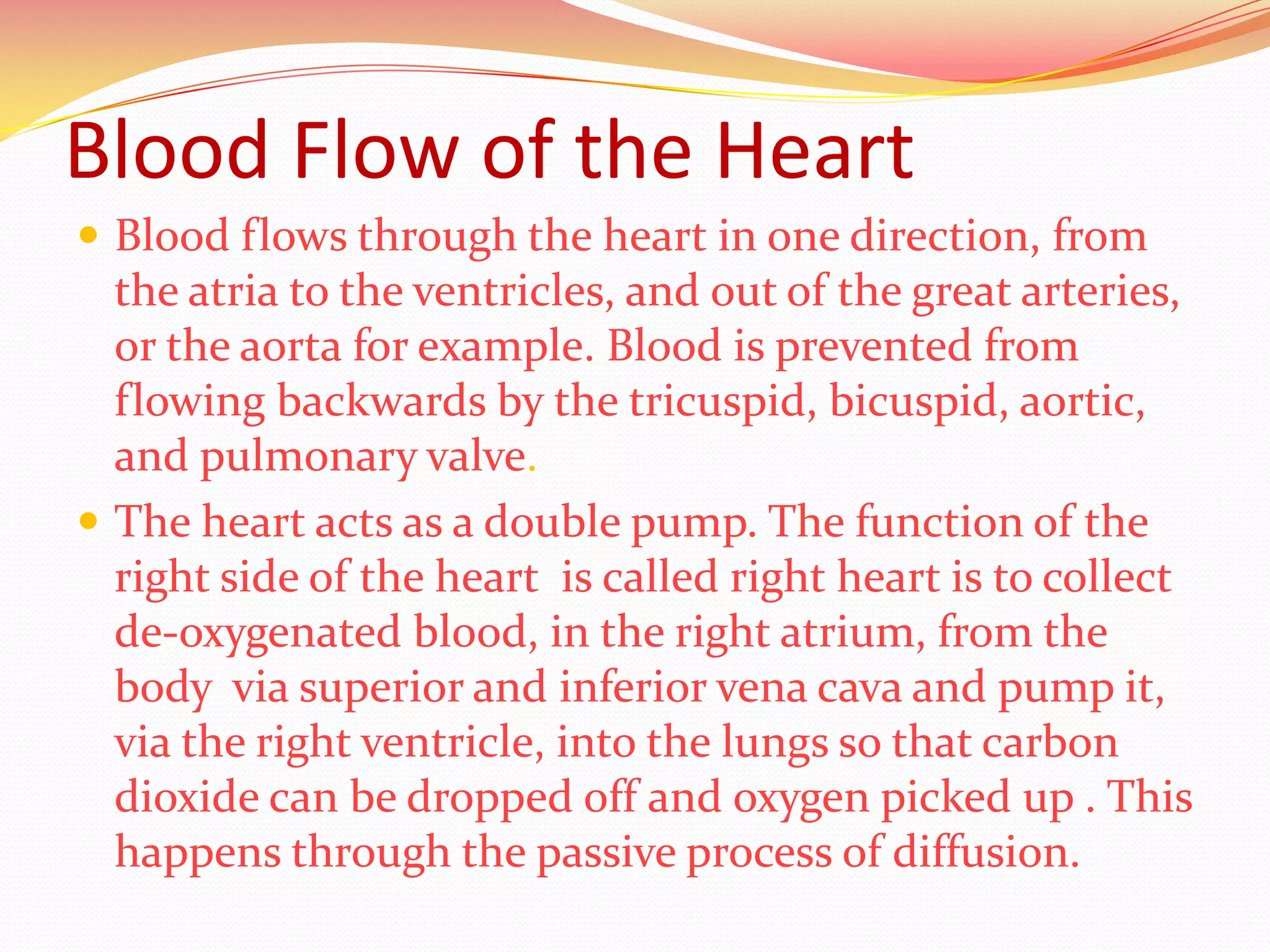 The Human Heart | PPTX
