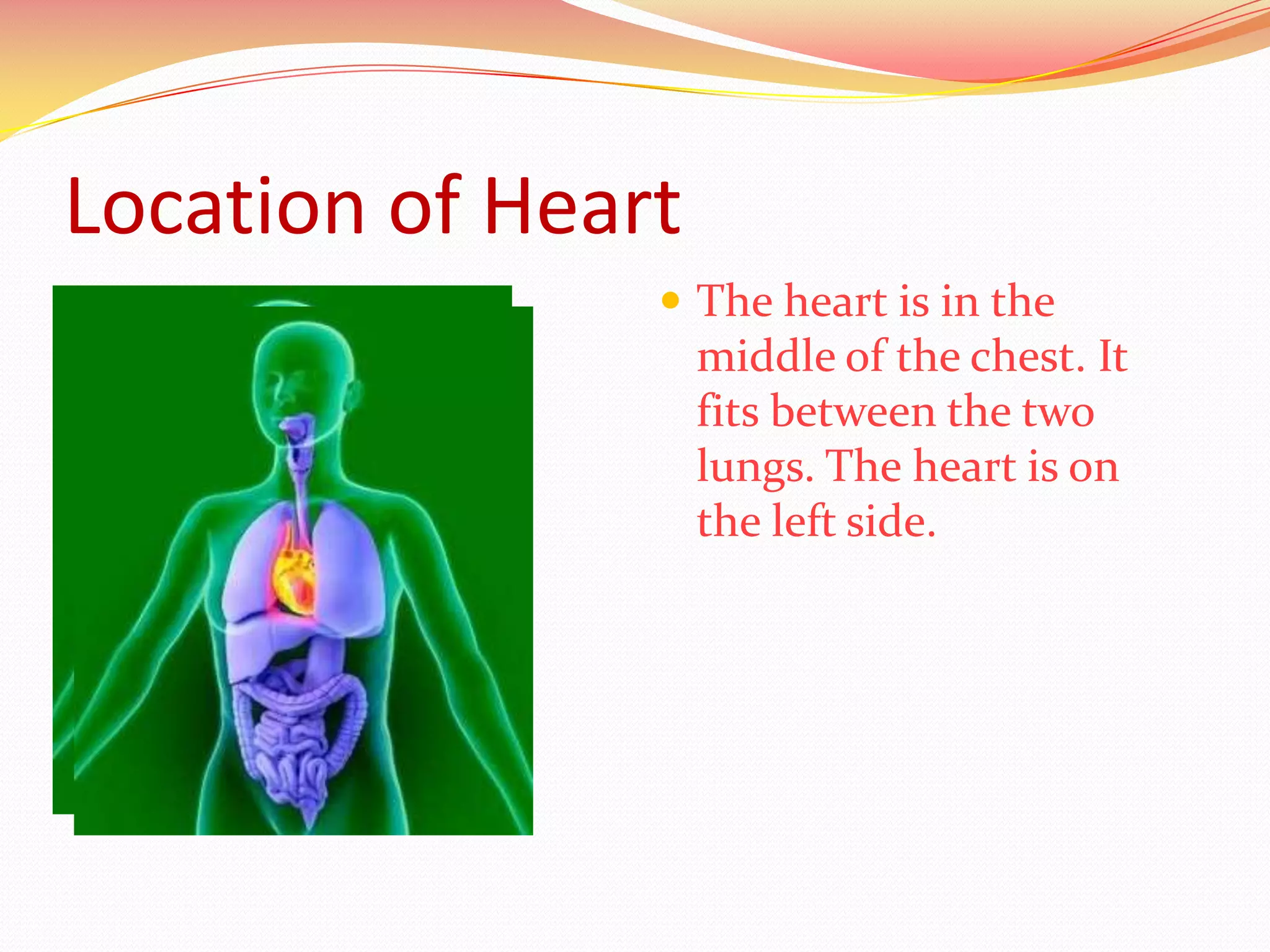 The Human Heart | PPTX
