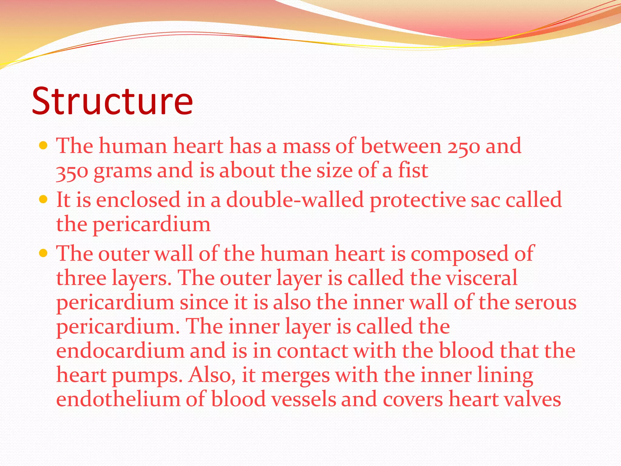 The Human Heart | PPTX