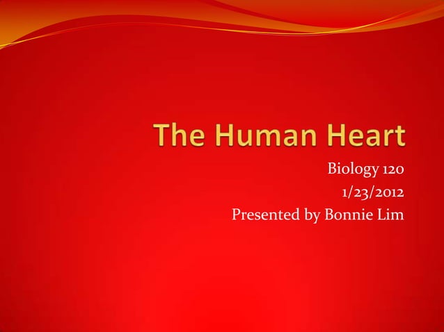 The Human Heart | PPTX | Heart and Cardiovascular Diseases | Diseases ...