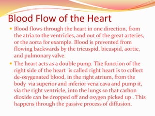 The Human Heart | PPTX