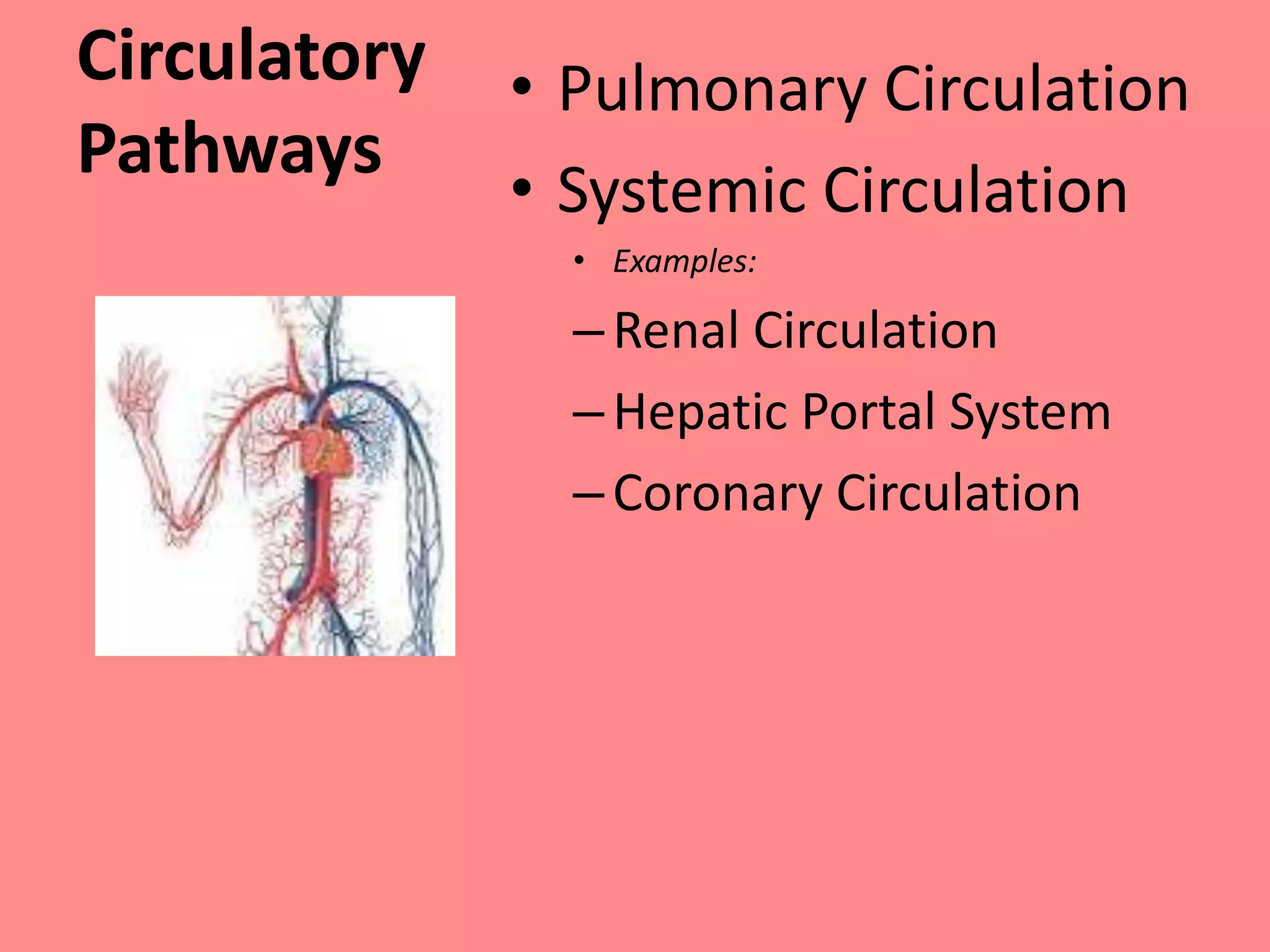 The human heart | PPTX | Heart and Cardiovascular Diseases | Diseases and Conditions