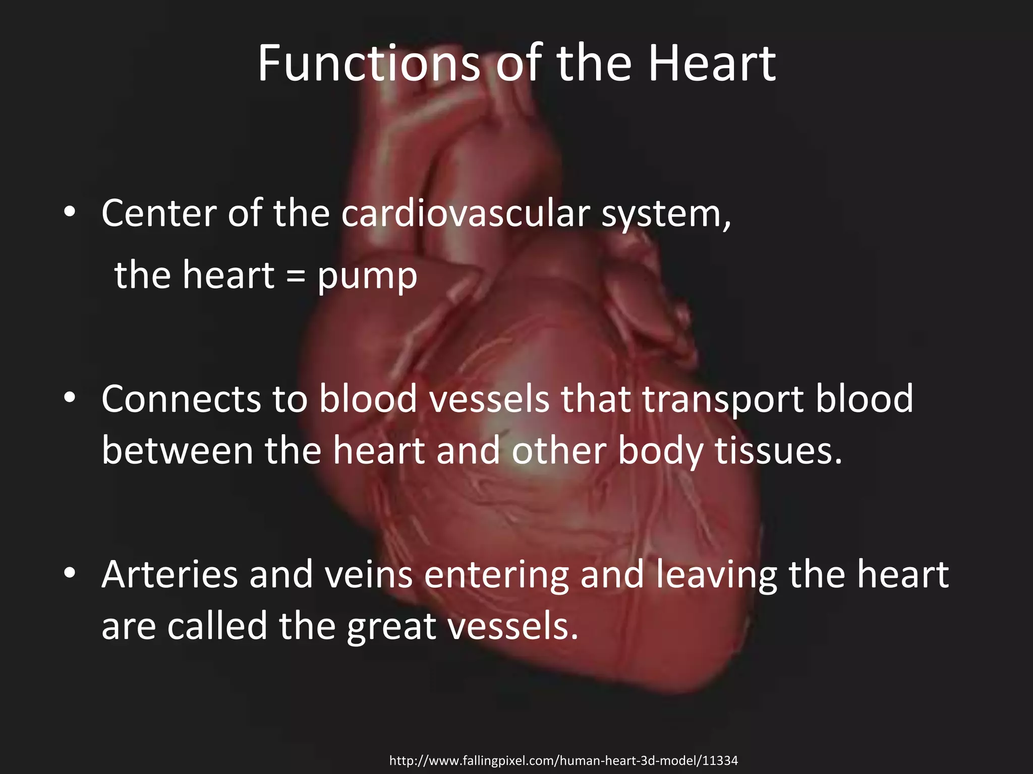 The human heart | PPTX | Heart and Cardiovascular Diseases | Diseases ...
