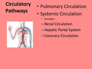 The human heart | PPTX | Heart and Cardiovascular Diseases | Diseases ...