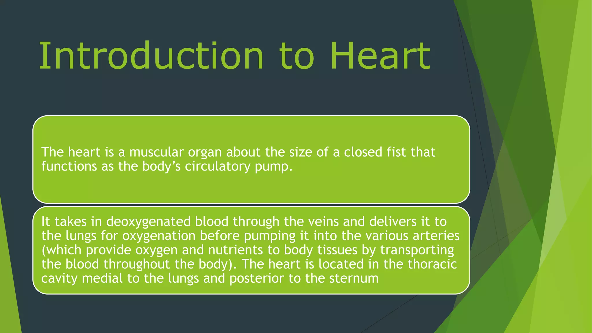 The human heart | PPTX