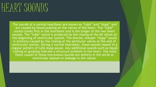 The human heart | PPTX