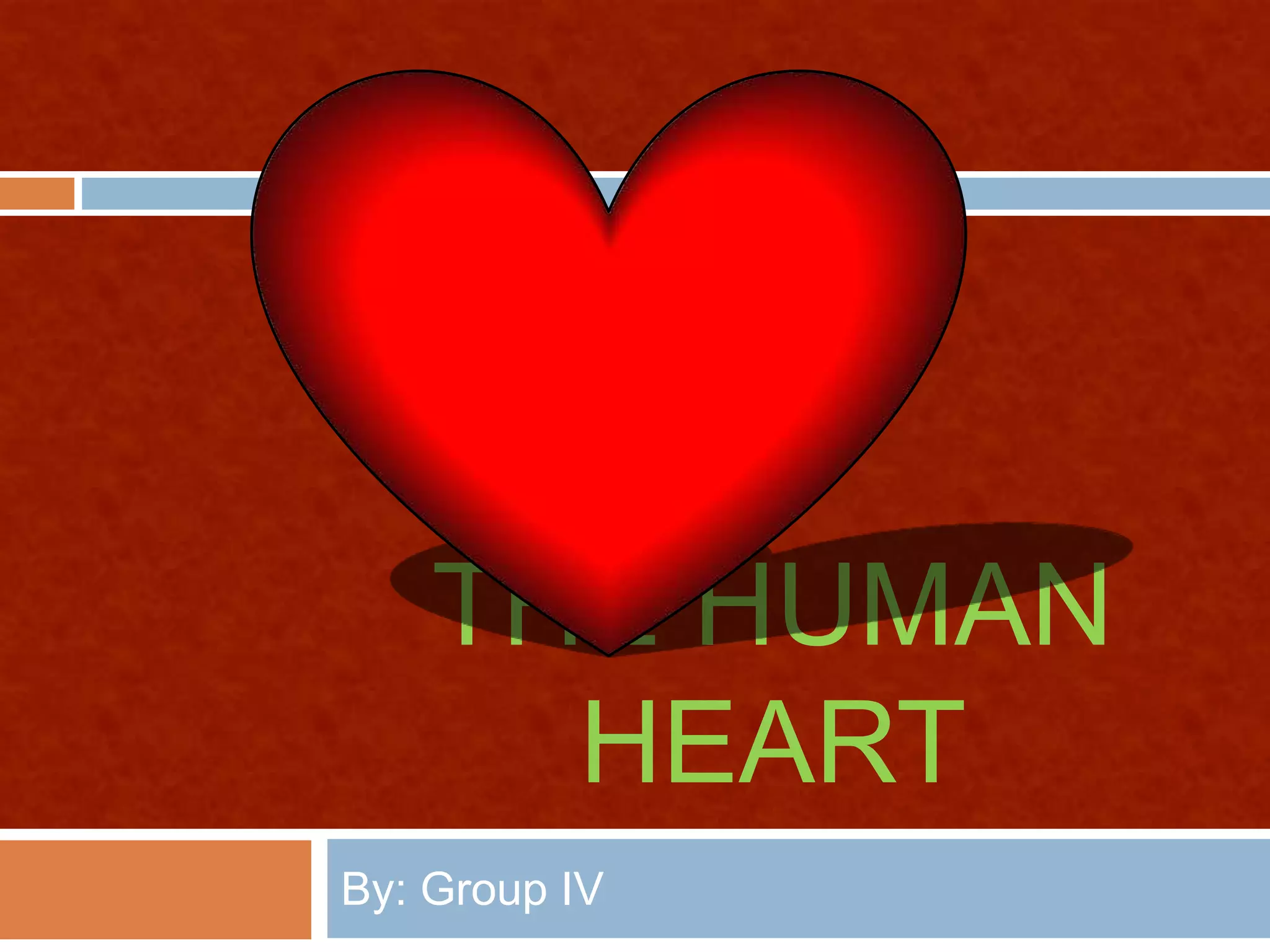 The Human Heart | PPSX
