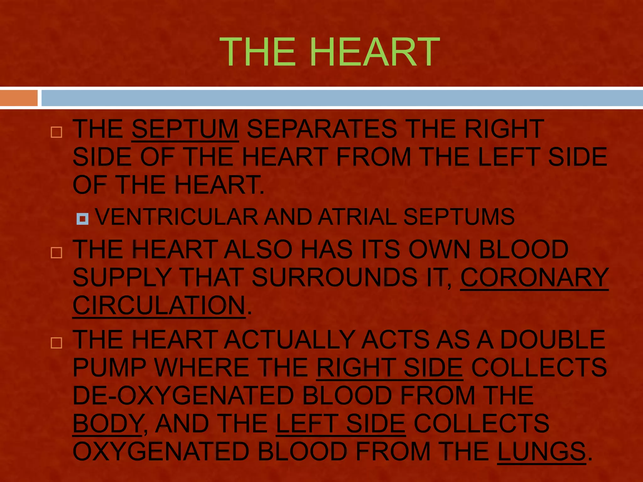 The Human Heart | PPSX