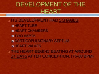 The Human Heart | PPSX