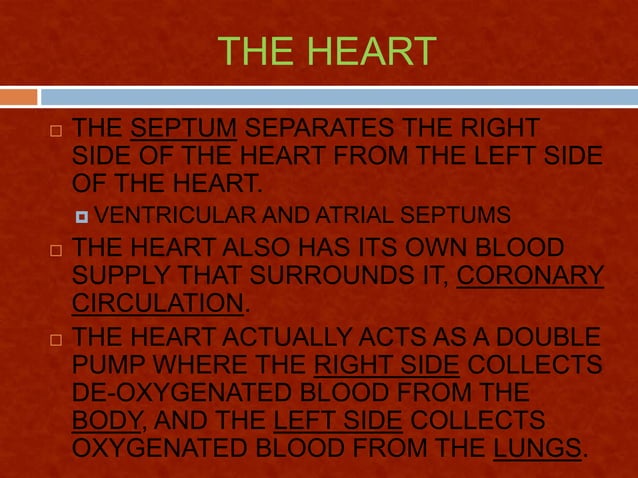 The Human Heart | PPSX | Heart and Cardiovascular Diseases | Diseases and Conditions