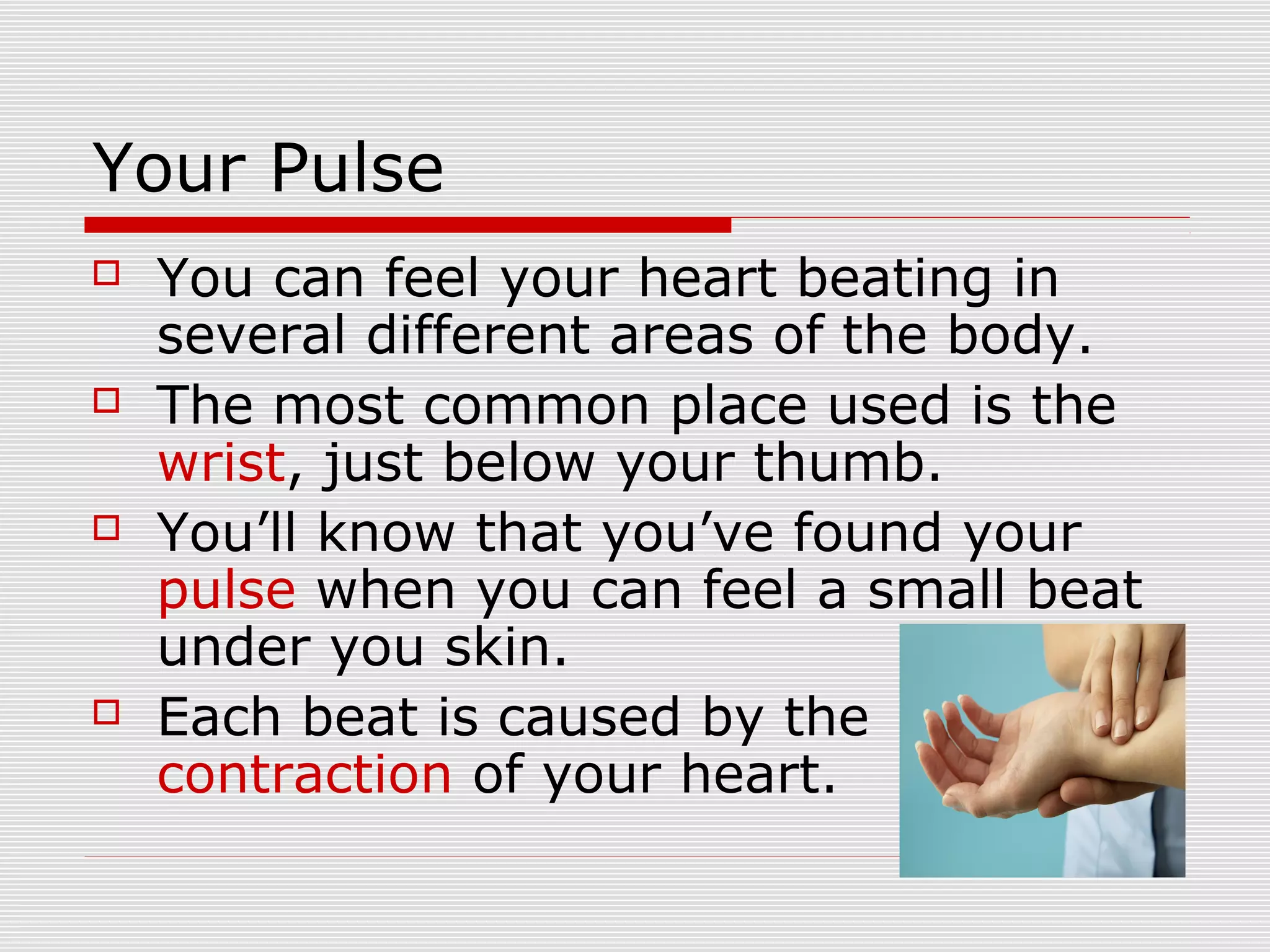 The human heart | PPT
