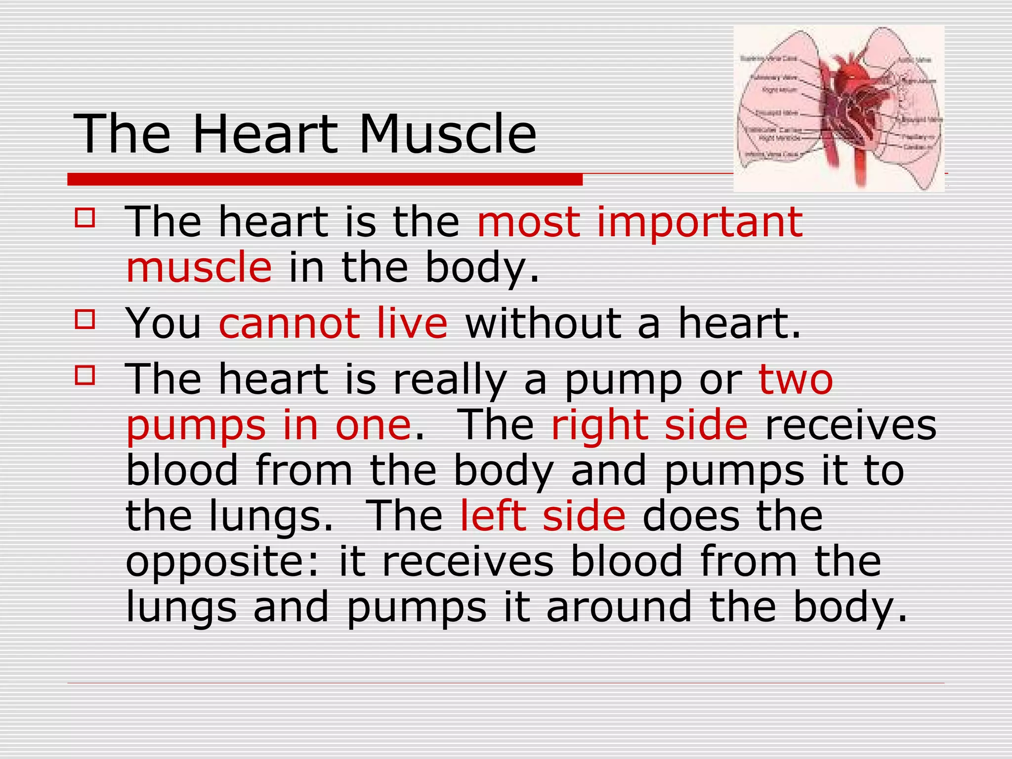 The human heart | PPT