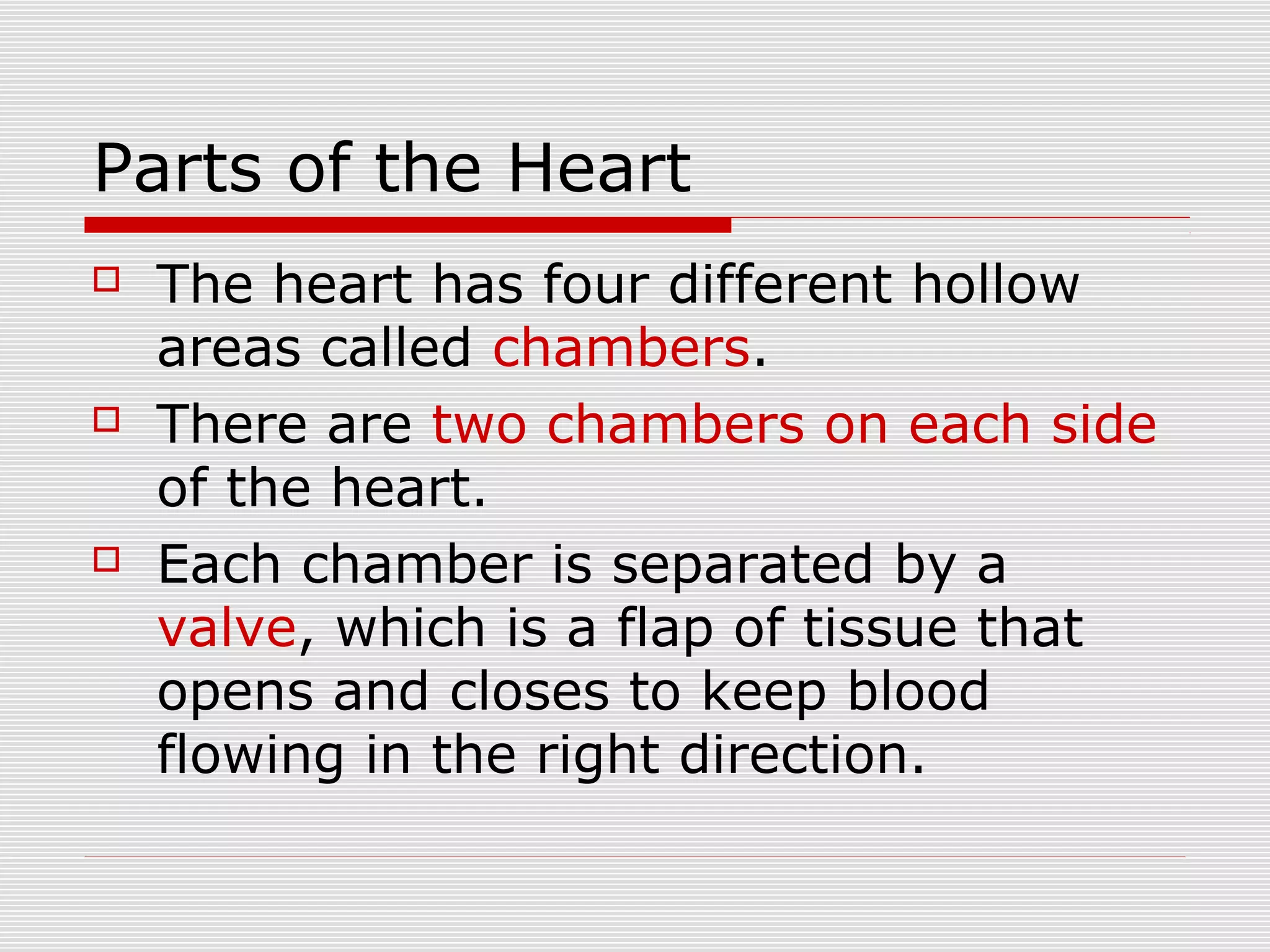 The human heart | PPT