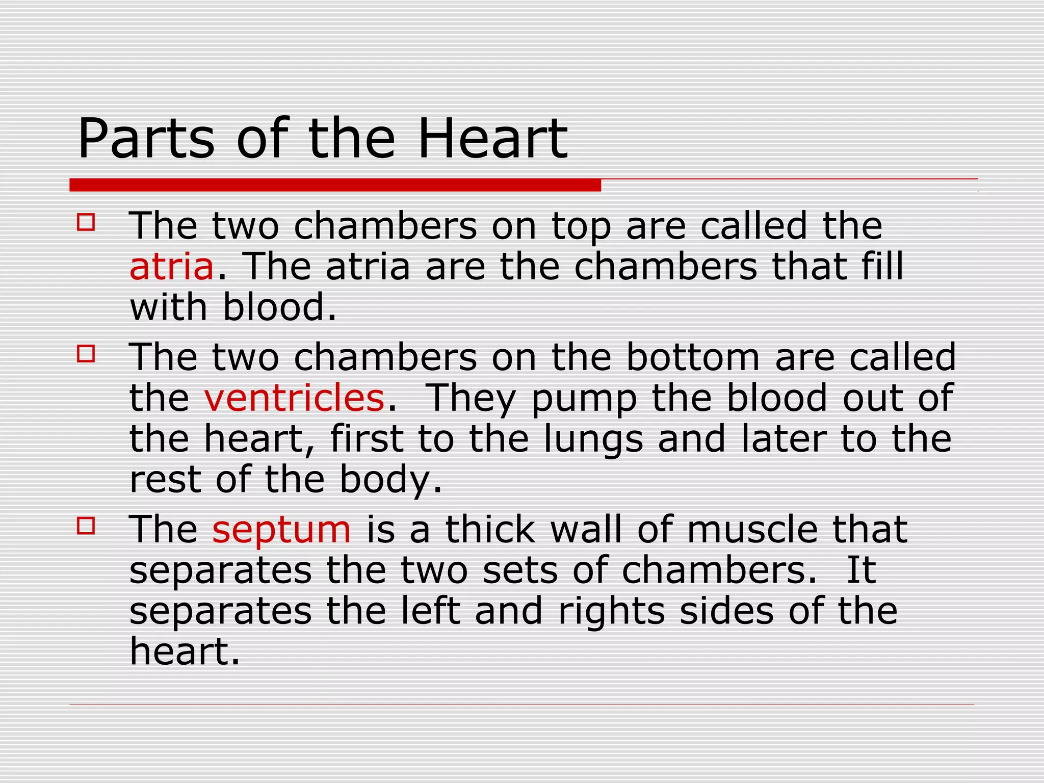 The human heart | PPT
