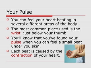 The human heart | PPT