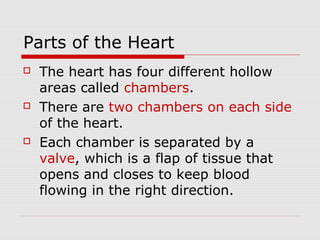 The human heart | PPT