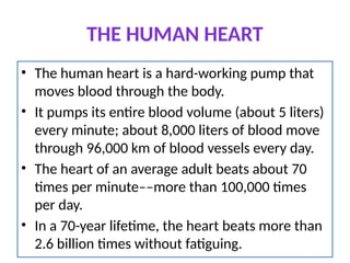 THE HUMAN HEART & Electrical conduction System of the Heart.pptx