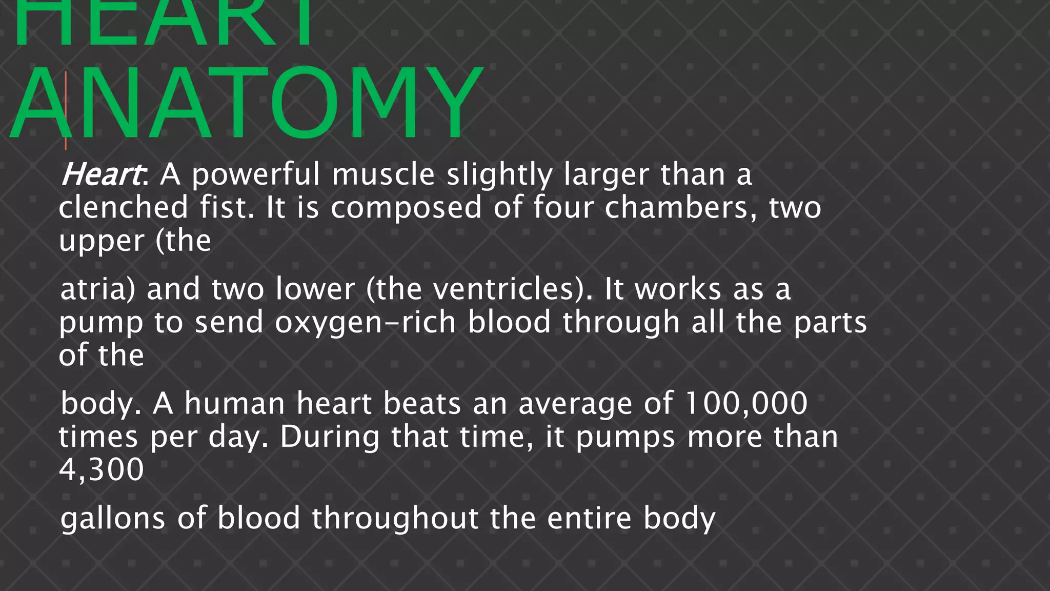 The human heart activity | PPT