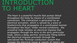 The human heart activity | PPT | Free Download