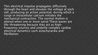 The human heart activity | PPT | Free Download