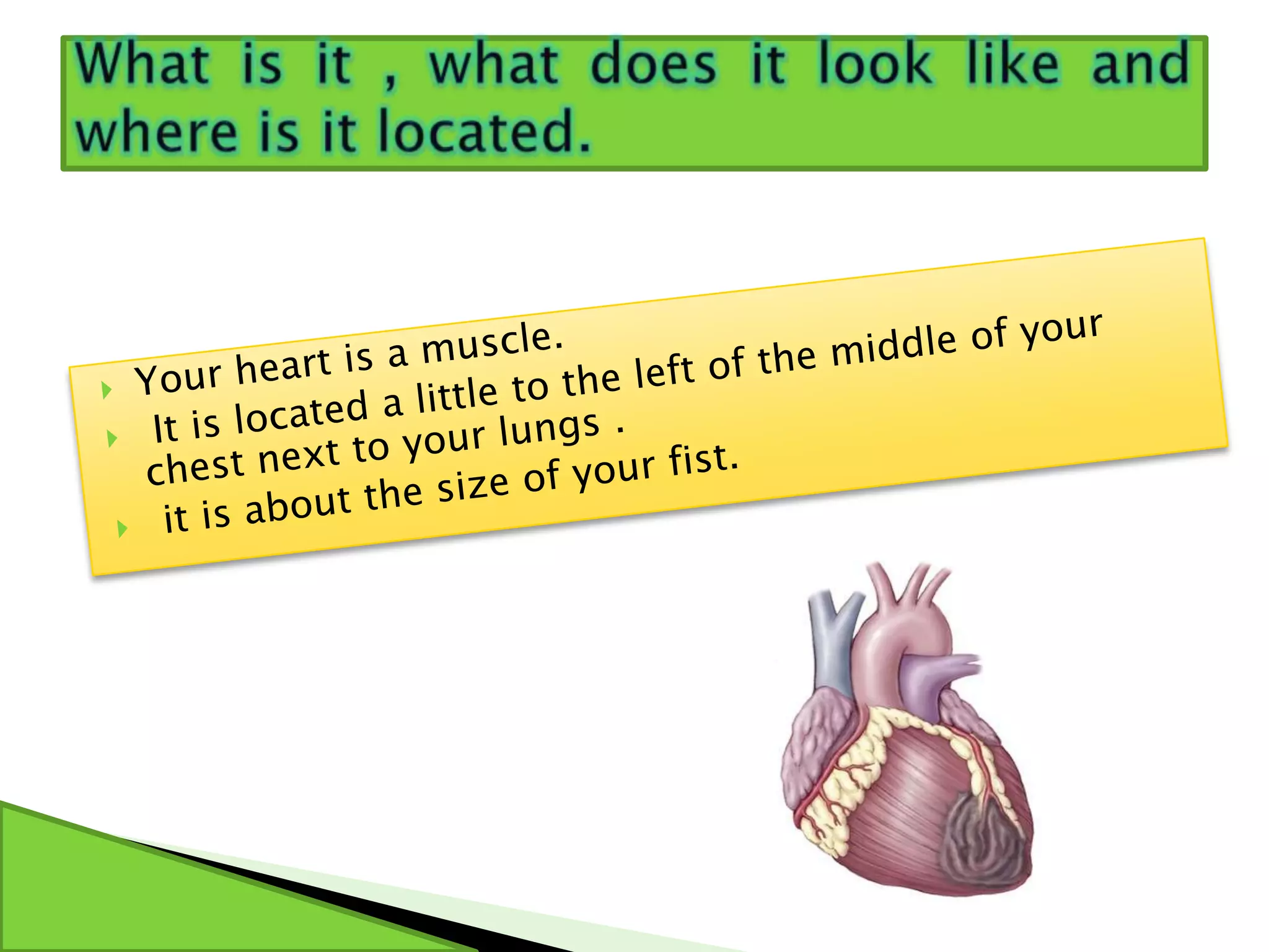 The human heart power point | PPTX