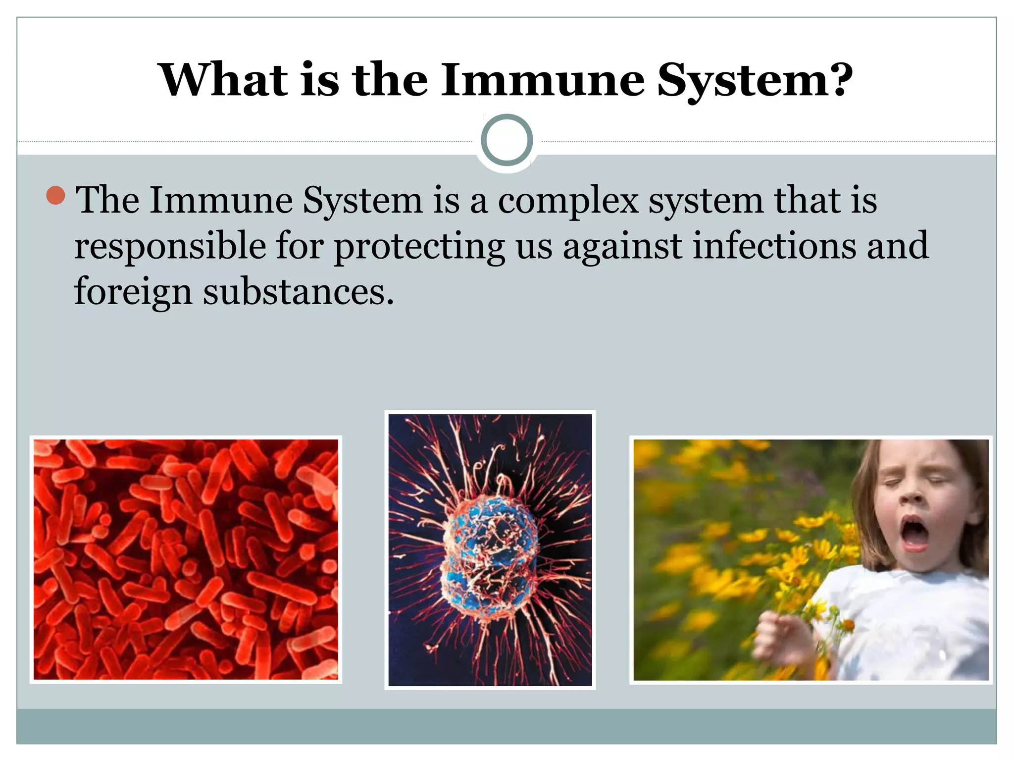 The human immune system | PPT