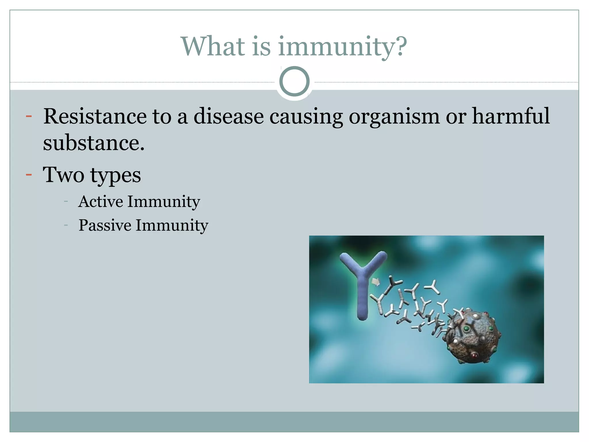 The human immune system | PPT
