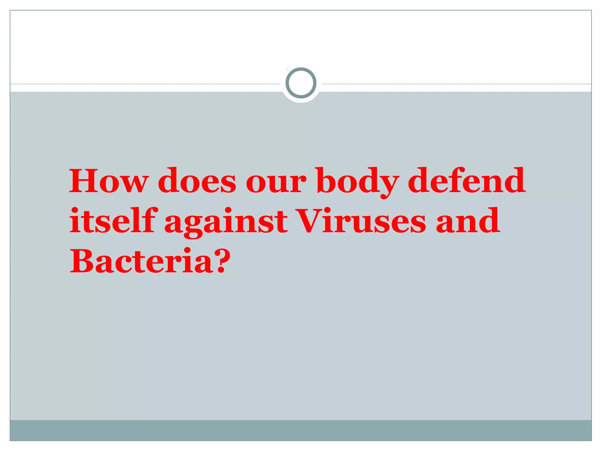 The human immune system | PPT